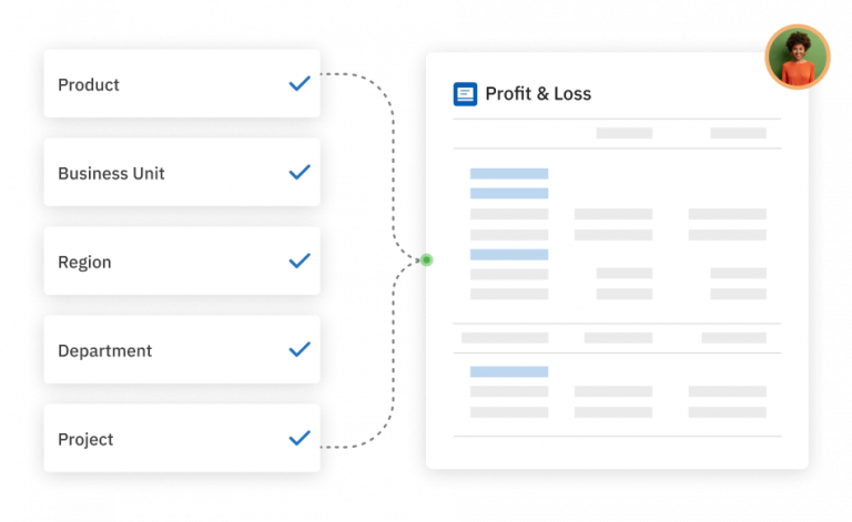 Accounting Seed Native Salesforce Accounting Platform
